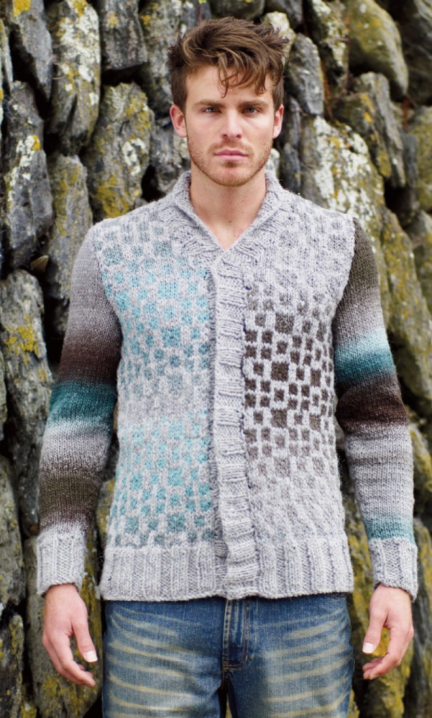 modèle gratuit tricot veste homme